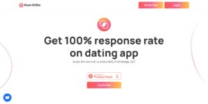 Meet Millie New Tool Explained with Features & More [2026]