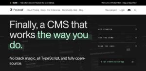 Payload CMS The New Tool Examined and Reviewed [2025]