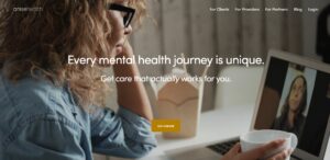 Anise Health Tool Explained - Quick Overview: Features & More