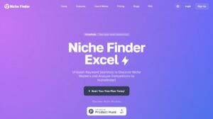Niche Finder Tool Explained - Quick Overview: Features & More