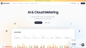 OpenMeter Tool Explained - Quick Overview: Features & More