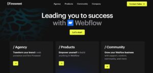 Finsweet Tool Explained - Quick Overview: Features & More